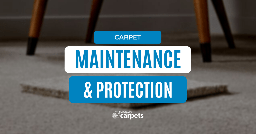 Blog - Easipay Carpets