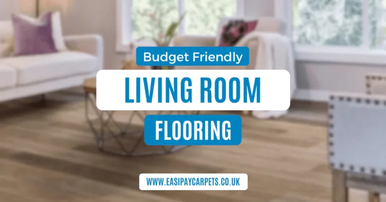 Budget Friendly Flooring Options For Your Living Room