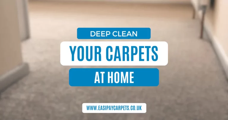 The Carpet Deep Clean Guide - Techniques That Work!