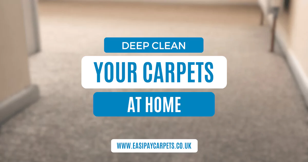 The Carpet Deep Clean Guide - Techniques That Work!